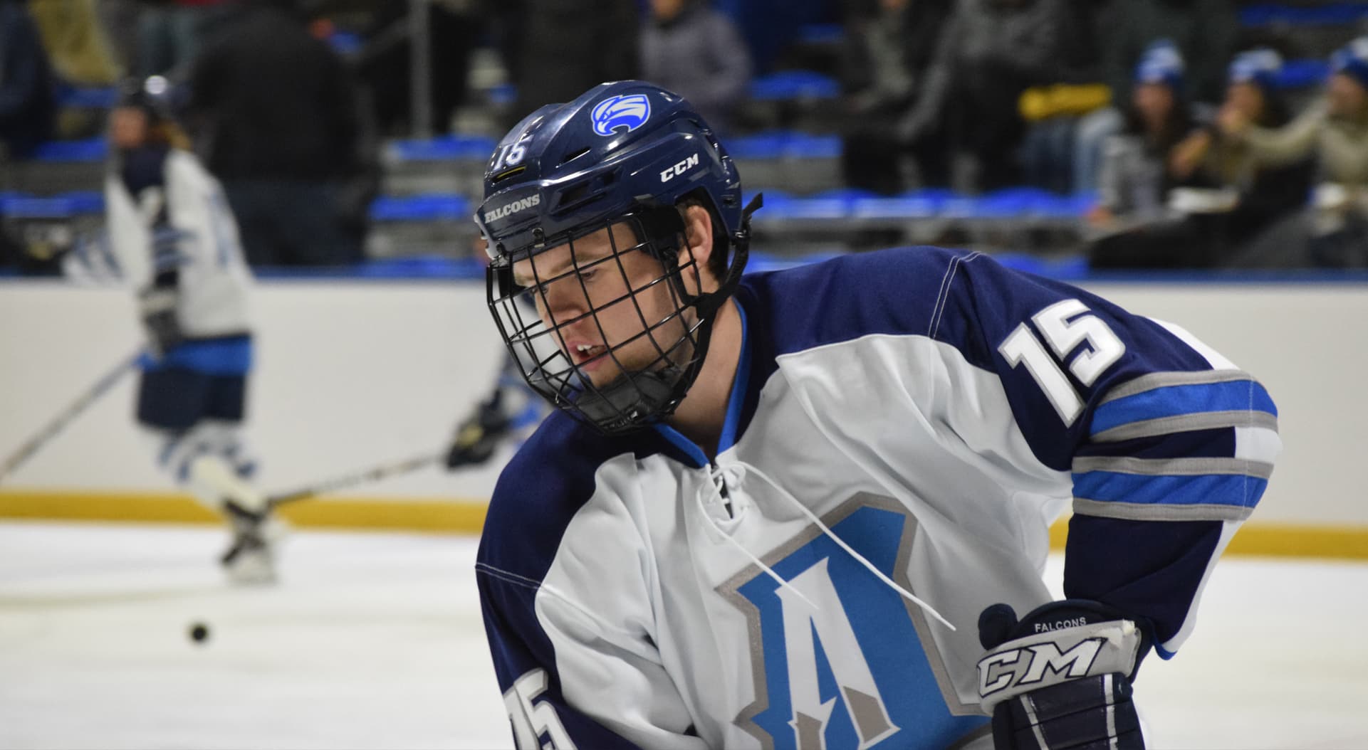 Undergraduate and Graduate Degrees at Albertus Magnus College