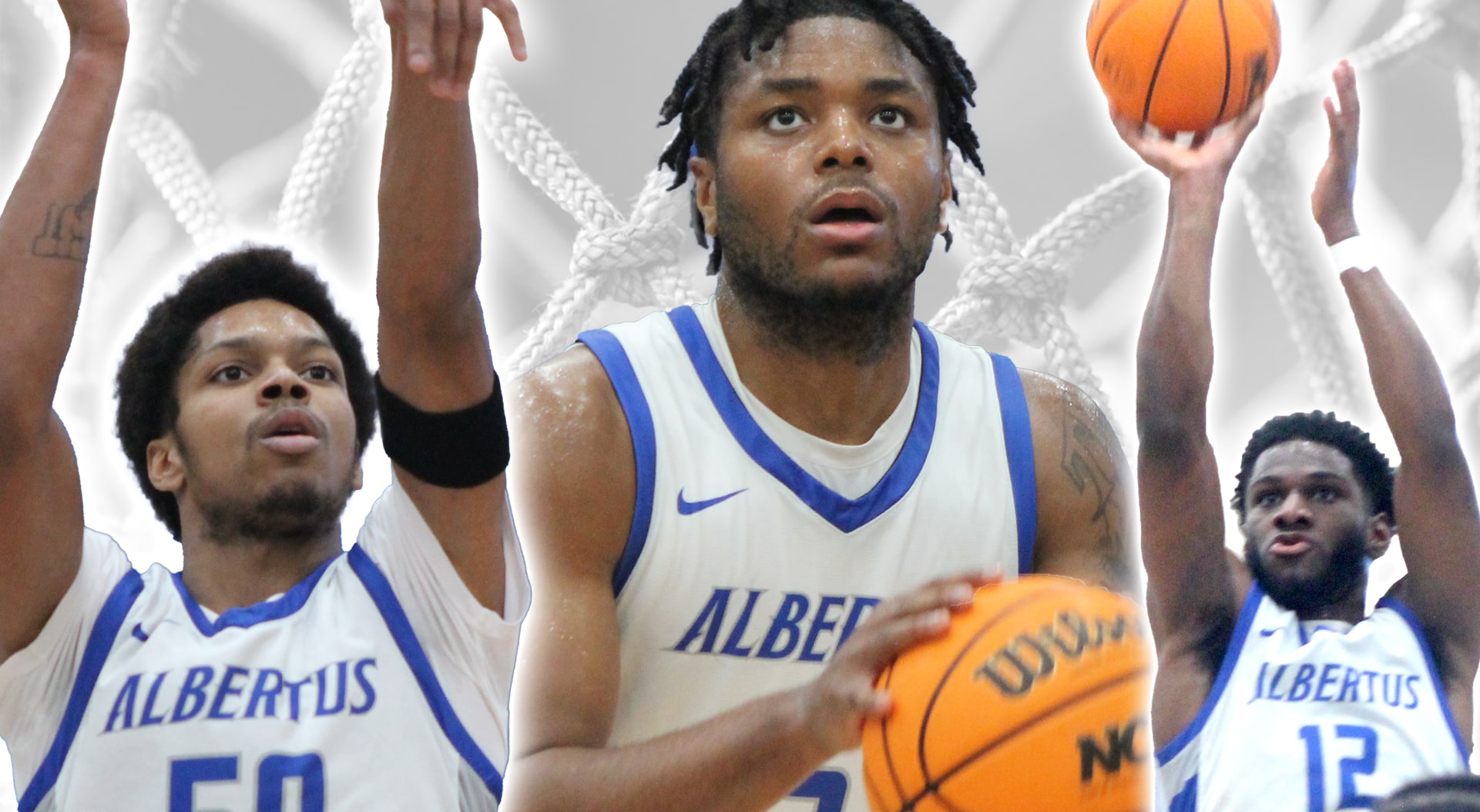 Undergraduate & Graduate Degrees at Albertus Magnus College